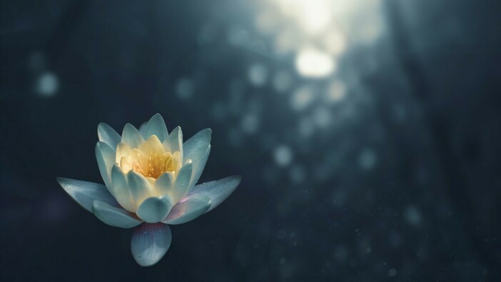 What Is Chi & How to Feel It in Your Body
